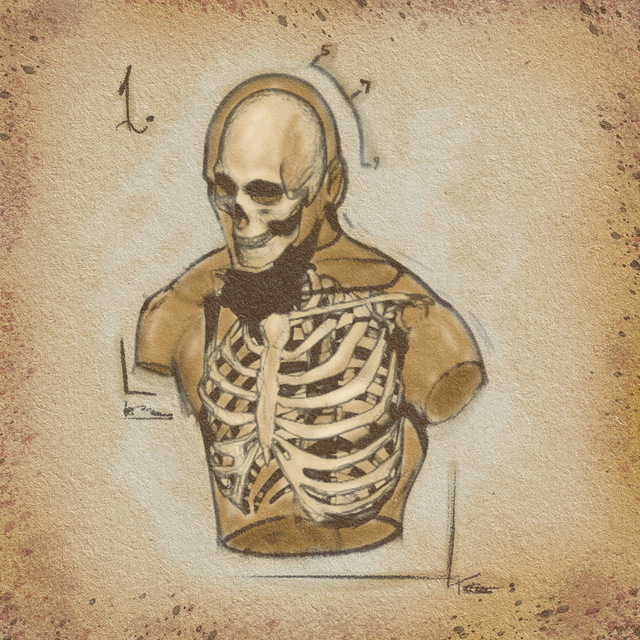 Collections – Ballistic Dummy Lab