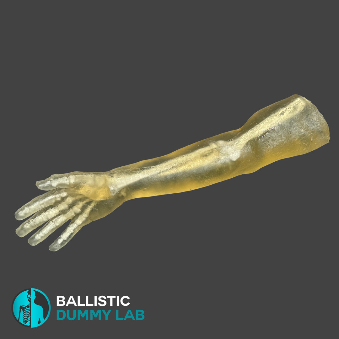 Body Parts – Ballistic Dummy Lab