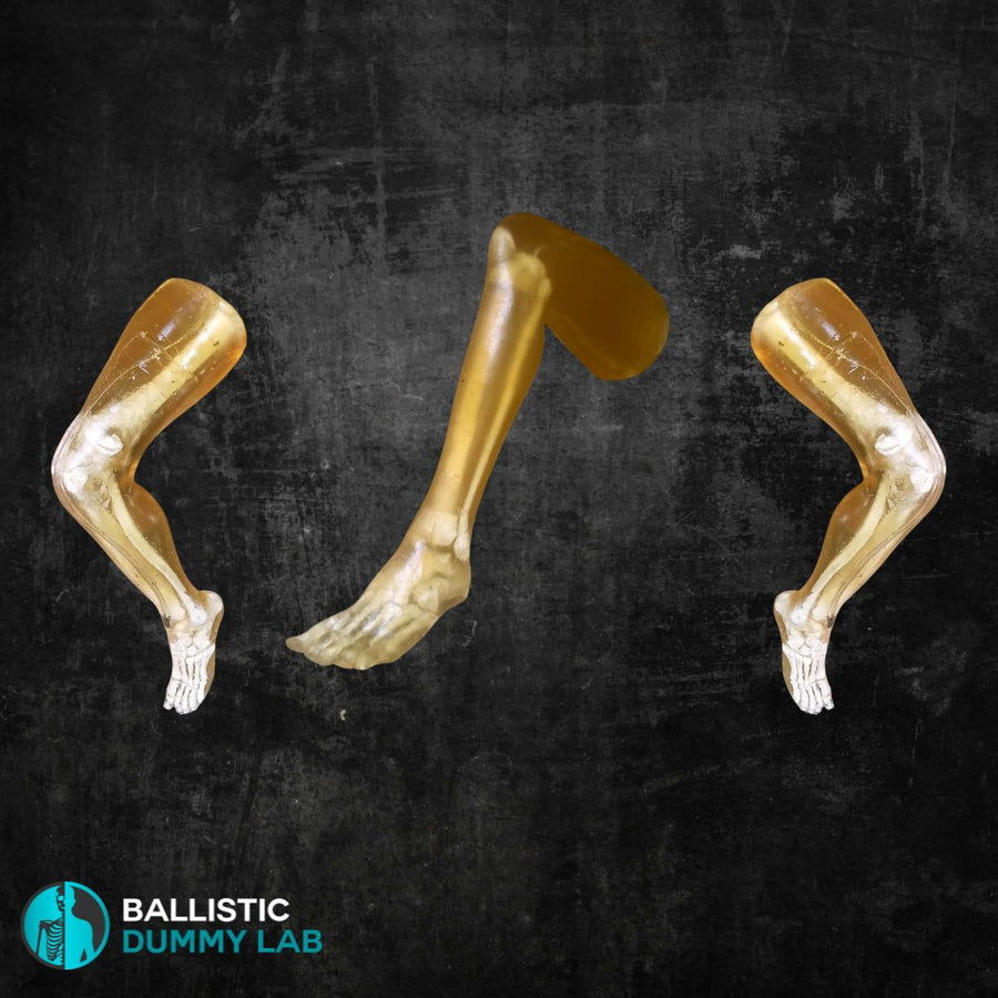 Body Parts – Ballistic Dummy Lab