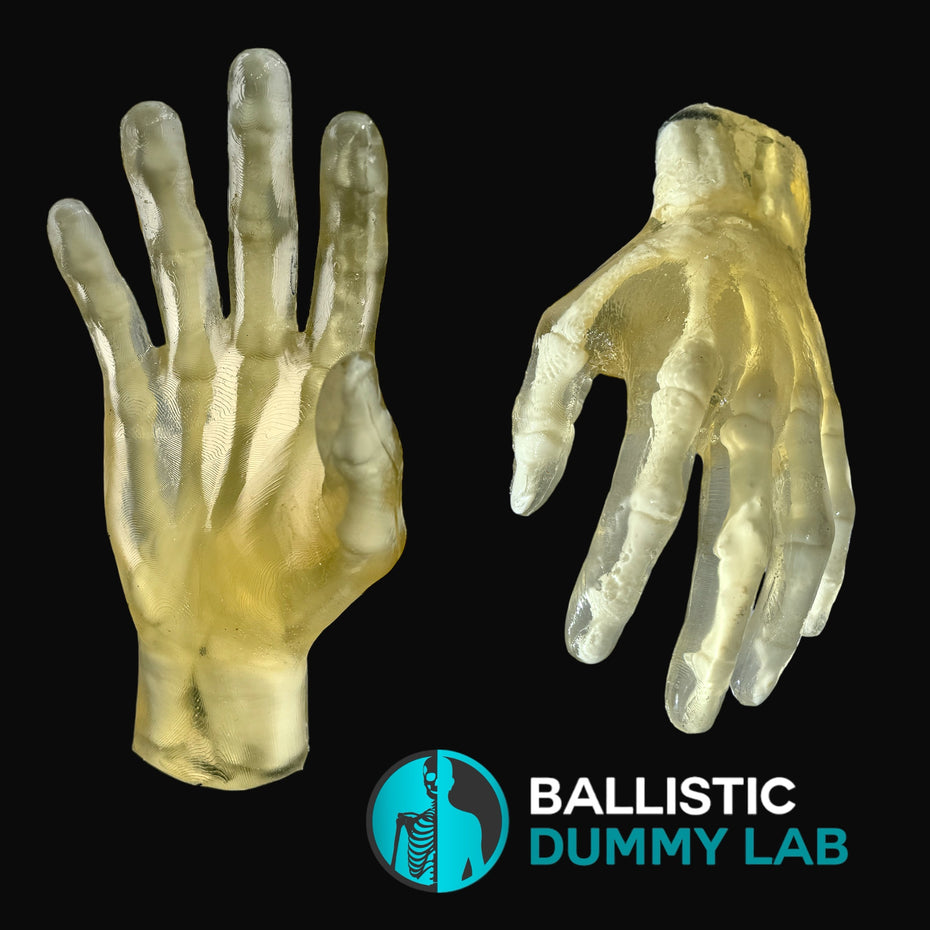 Body Parts – Ballistic Dummy Lab