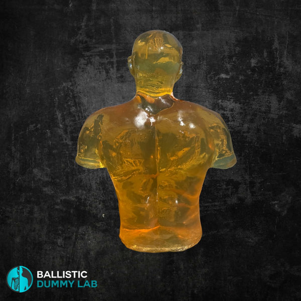 Ballistic Gel Torso With head no internals – Ballistic Dummy Lab
