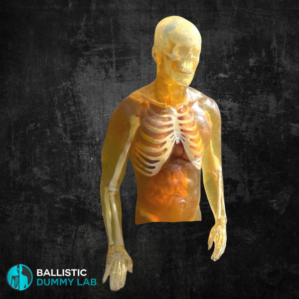 Ballistic Dummy Gel Torso with Head and Arms – Ballistic Dummy Lab