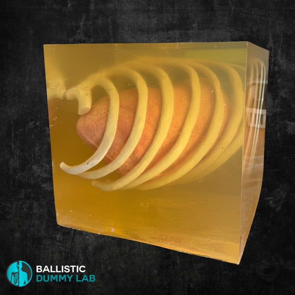 Ballistic Animal Block – Ballistic Dummy Lab