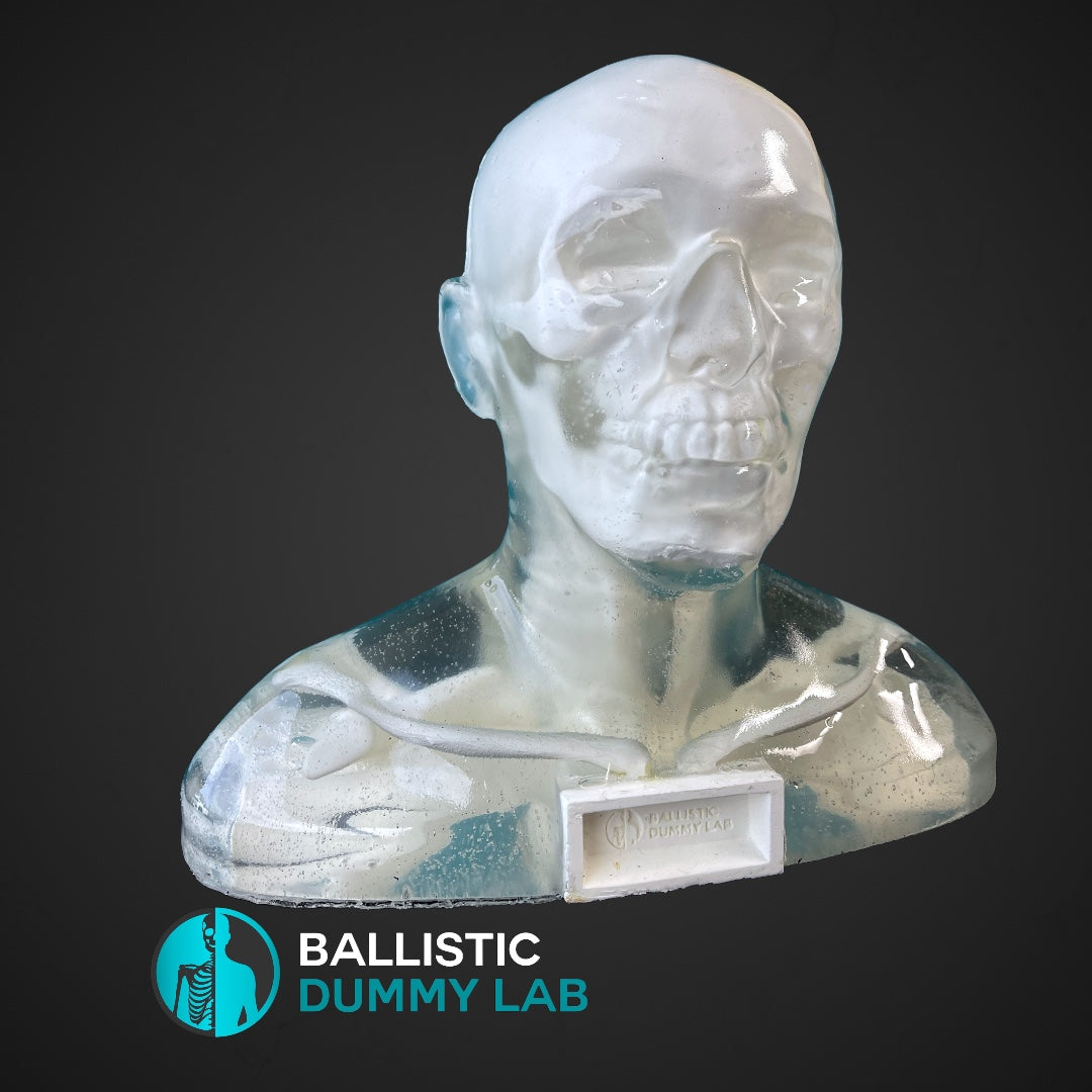 Heads – Ballistic Dummy Lab