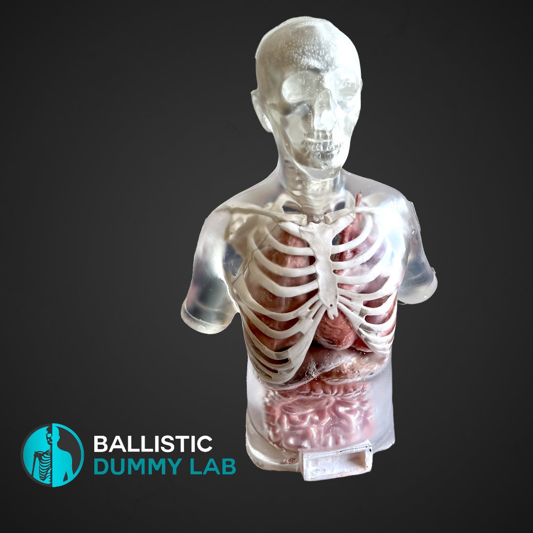 Perma-Gel Ballistic Dummy Deluxe Torso with Head – Ballistic Dummy Lab